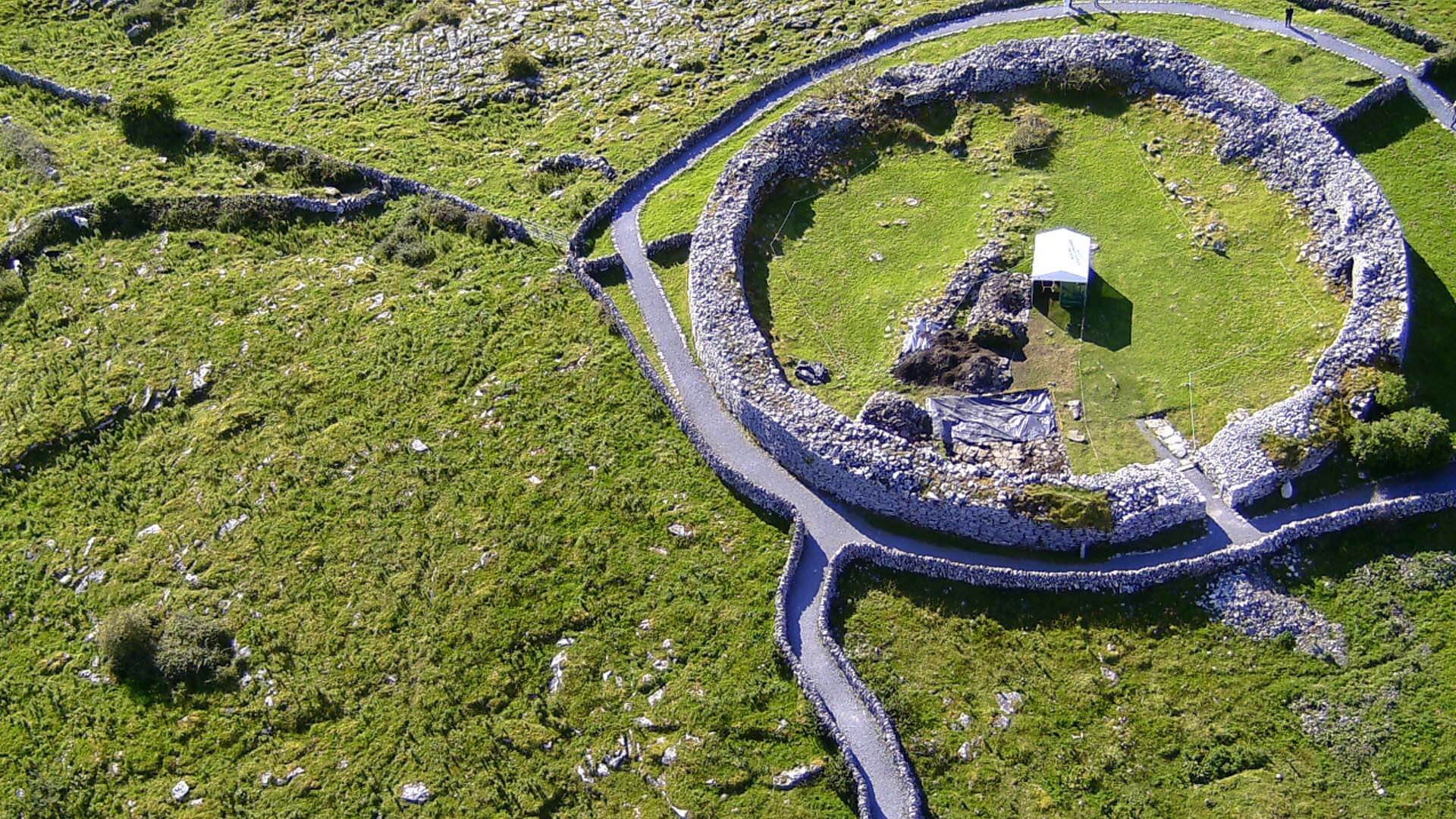 Caherconnell Stone Fort & Sheepdog Demonstration | Hotel Woodstock