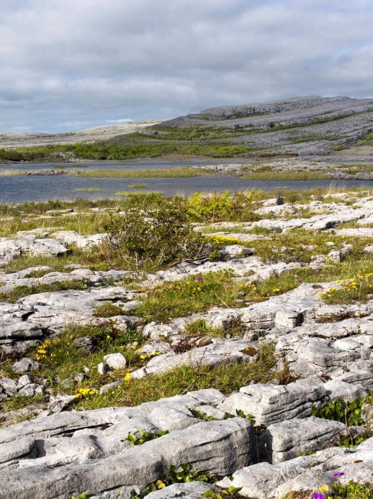 The Burren National Park | Hotel Woodstock