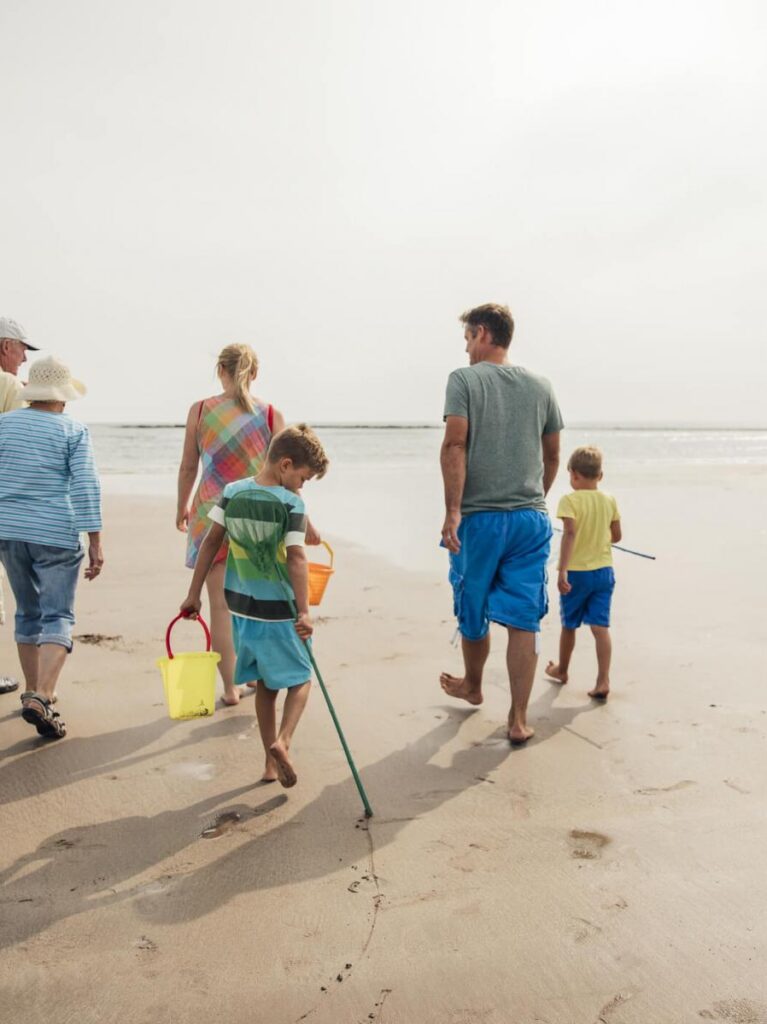 Cliffs of Moher Family Cruise | Hotel Woodstock Ennis